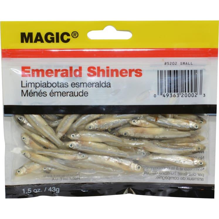 Preserved Small Emerald Shiner Minnow by Magic at Fleet Farm