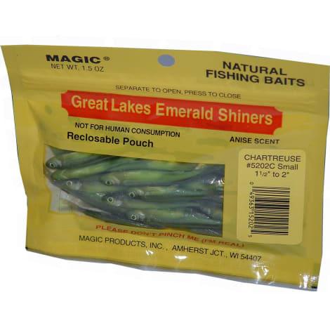 Preserved Fresh Shiner Minnows Small by Magic at Fleet Farm
