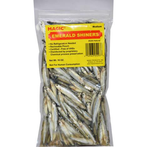Preserved Emerald Shiners - 16 Oz. by Magic at Fleet Farm