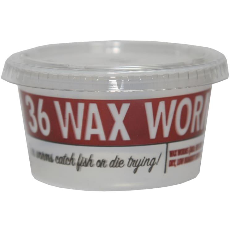 DMF Bait Wax Worms Bait - 3 Doz by DMF Bait at Fleet Farm