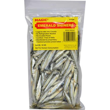 Preserved Large Emerald Shiner Minnows by Magic at Fleet Farm