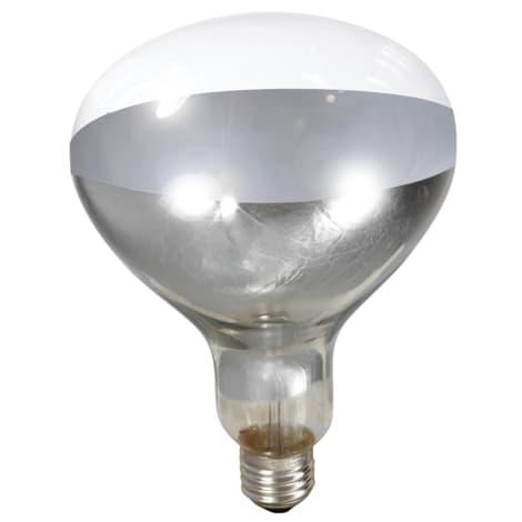 250W Clear Replacement Bulb for Brooder Lamp by Little Giant at Fleet Farm