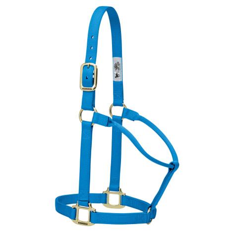 1 in Original Yearling Hurricane Blue Non-Adjustable Halter by Weaver ...