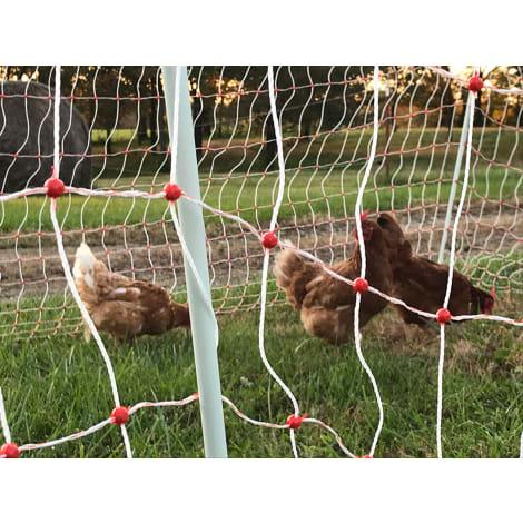48 in x 85 ft Poultry Netting by Gallagher at Fleet Farm