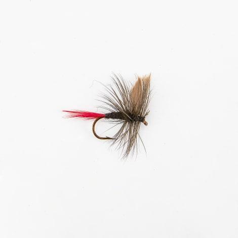 Glack Gnat Red Tail Fly by Jackson Cardinal Flies at Fleet Farm