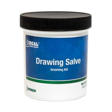 14 oz Drawing Salve for Horses & Dogs by Ideal Animal Health at Fleet Farm